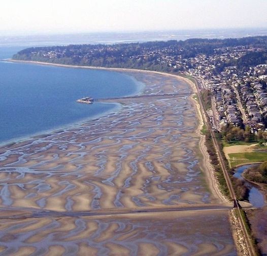 White Rock Sun - [ Main ]