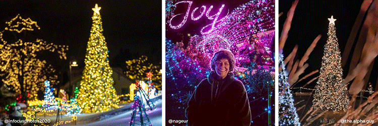 White Rock Sun - [ Main ]