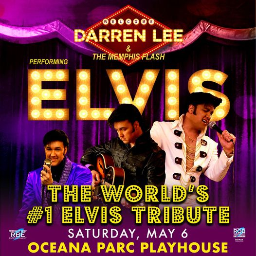 White Rock Sun - [ Night Owl ]