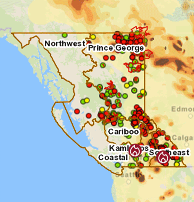 White Rock Sun - [ Local ]