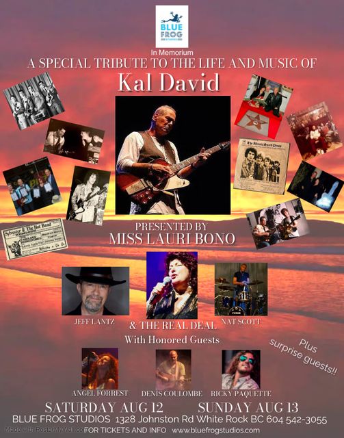 White Rock Sun - [ Night Owl ]