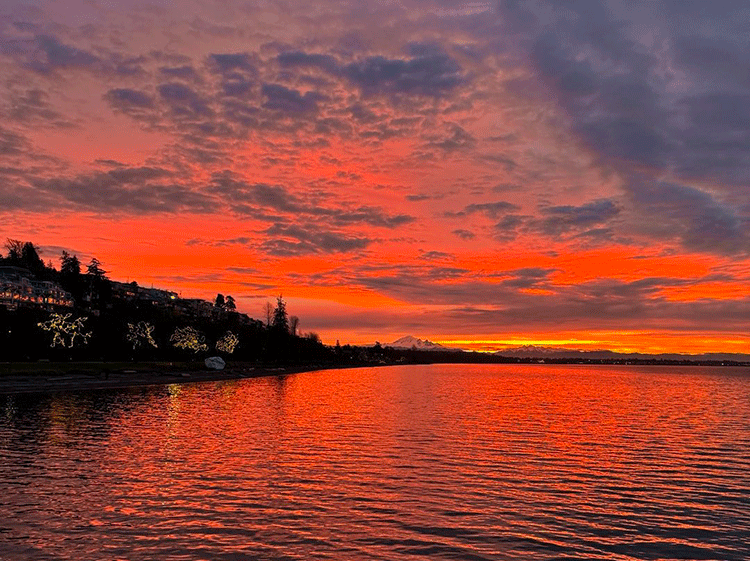 White Rock Sun - [ Main ]