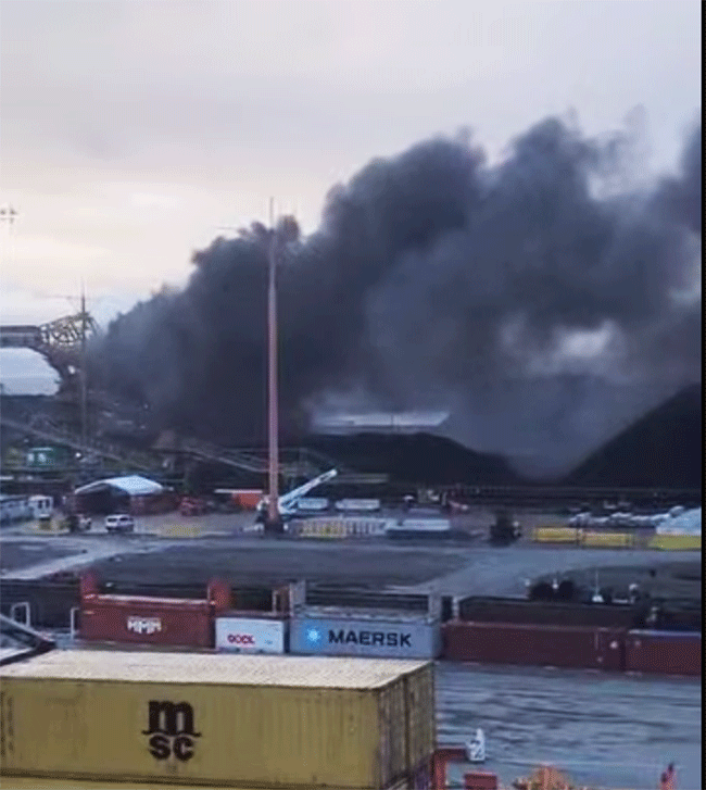 White Rock Sun - [ Local ]